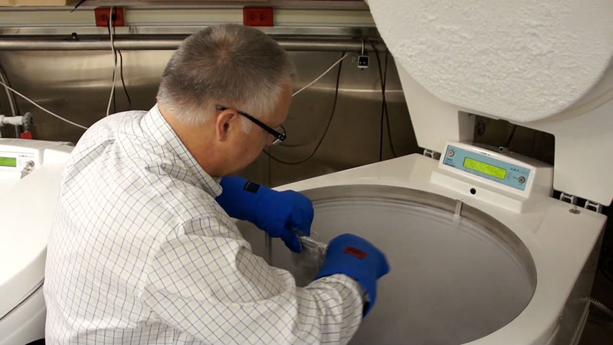 Why Stem Cells? | Stem Cell Research Facts