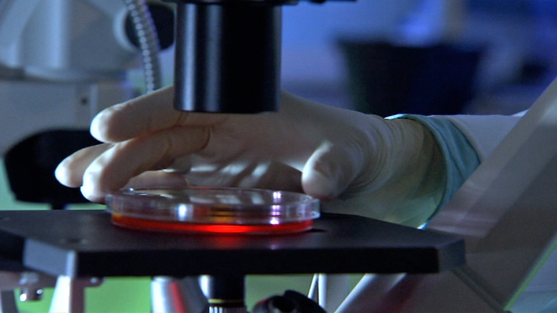 Answers | Stem Cell Research Facts