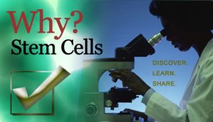 Why Stem Cells Stem Cell Research Facts